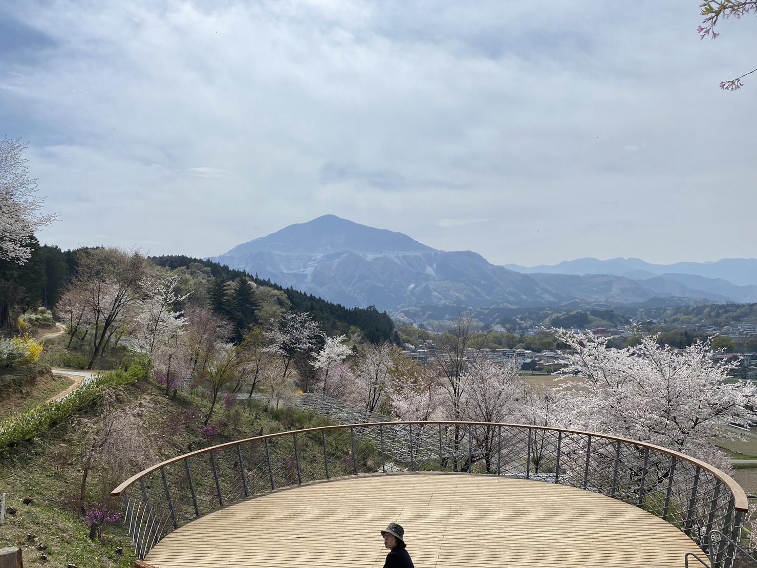 花咲山公園、花いっぱい♪ - 歩楽～里（ぶら～り）よこぜ