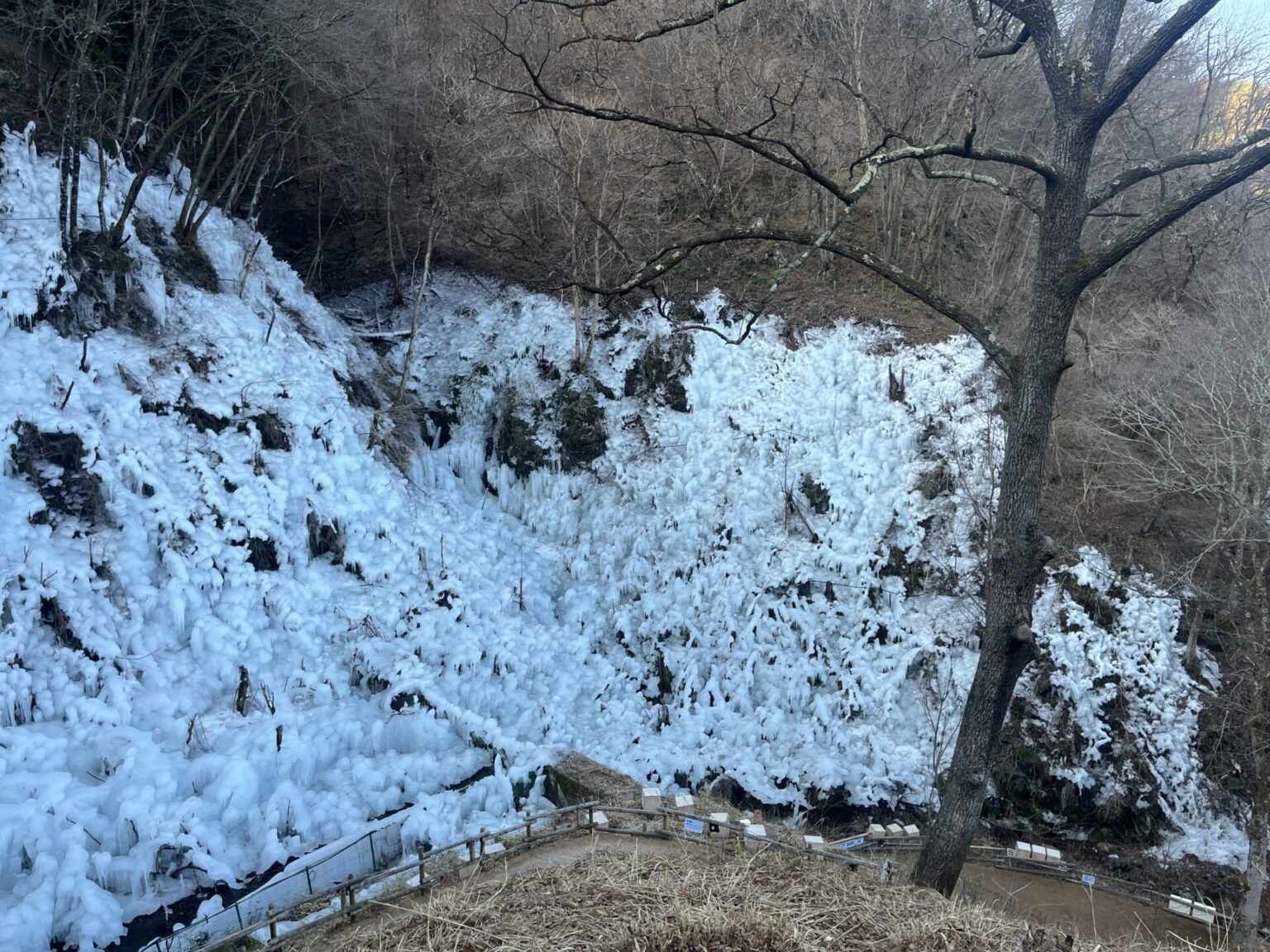 終了 あしがくぼの氷柱2025 - 歩楽～里（ぶら～り）よこぜ