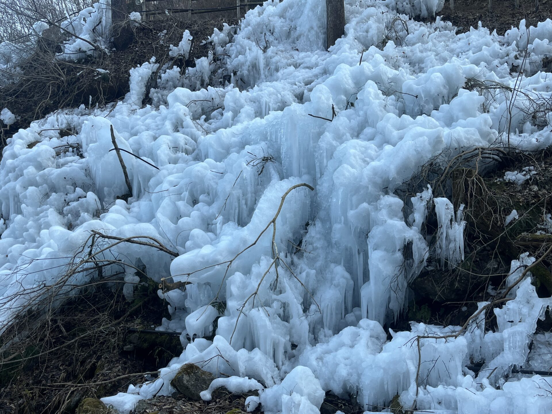 終了 あしがくぼの氷柱2025 - 歩楽～里（ぶら～り）よこぜ
